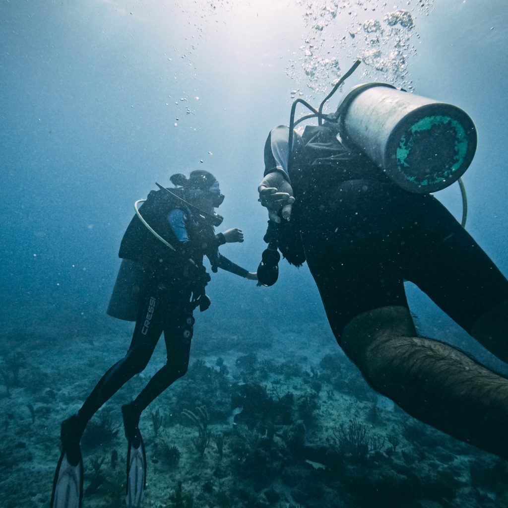 DISCOVER PUERTO MORELOS - DOUBLE REEF DIVES - Scuba Kraken - Dive Center